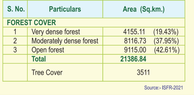 Protecting the Green Gold: A comprehensive look at forest conservation ...